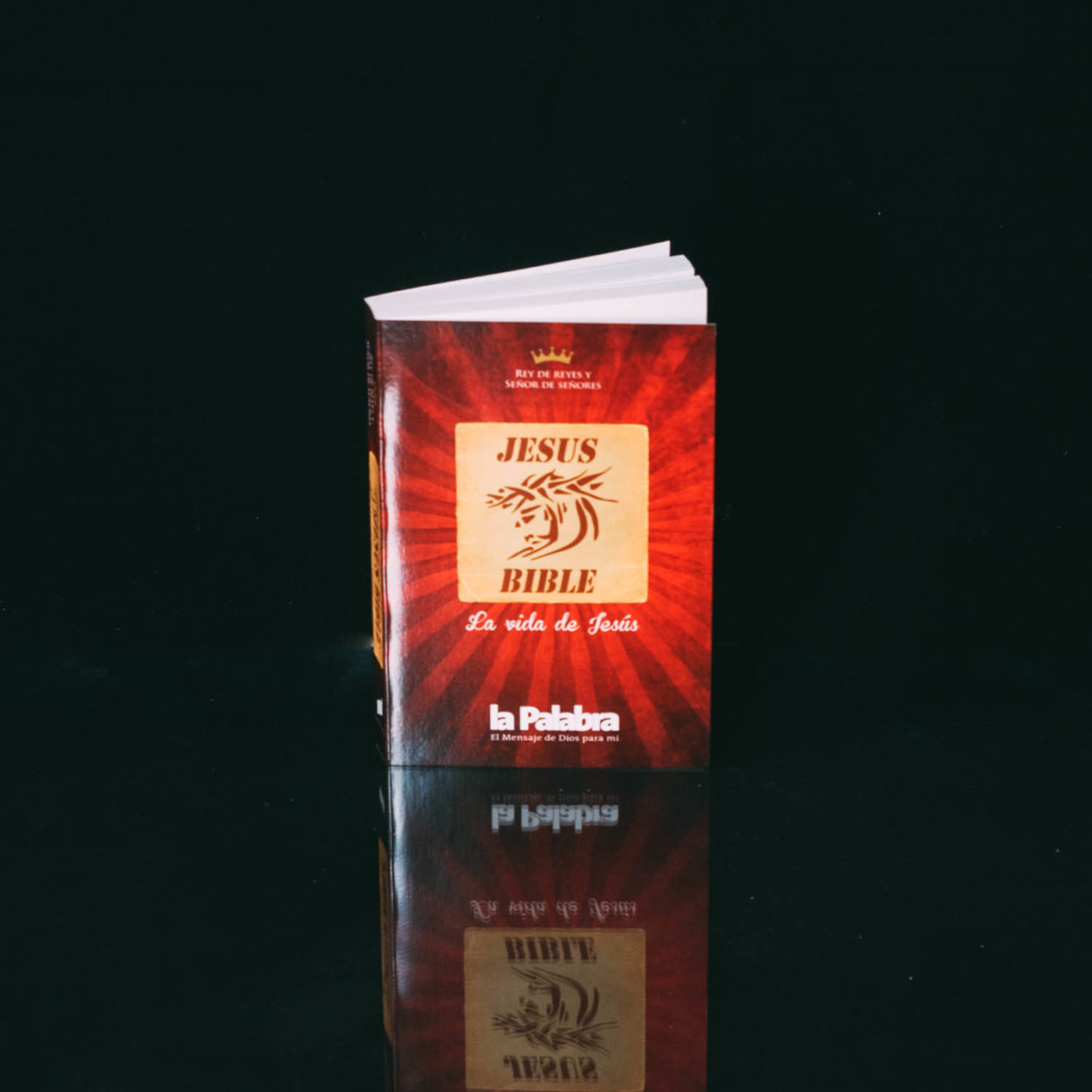 Uusi testamentti (kartonkikantinen) - Espanja - Avainmedia ...